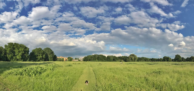 Wimbledon and Putney Commons Conservators April Update